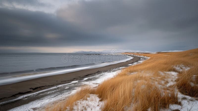 Winter Landscape of Black Sand Beach and Snow-Covered Cliffs in Iceland ...
