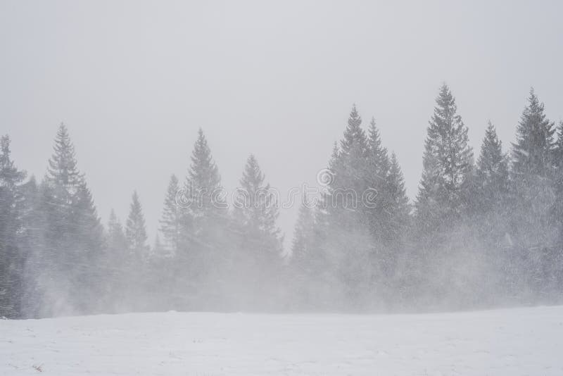 Winter Landscape with Blizzard Stock Image - Image of clear, purity ...