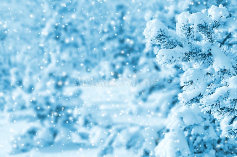 Winter landscape stock image. Image of frozen, beauty - 62374217