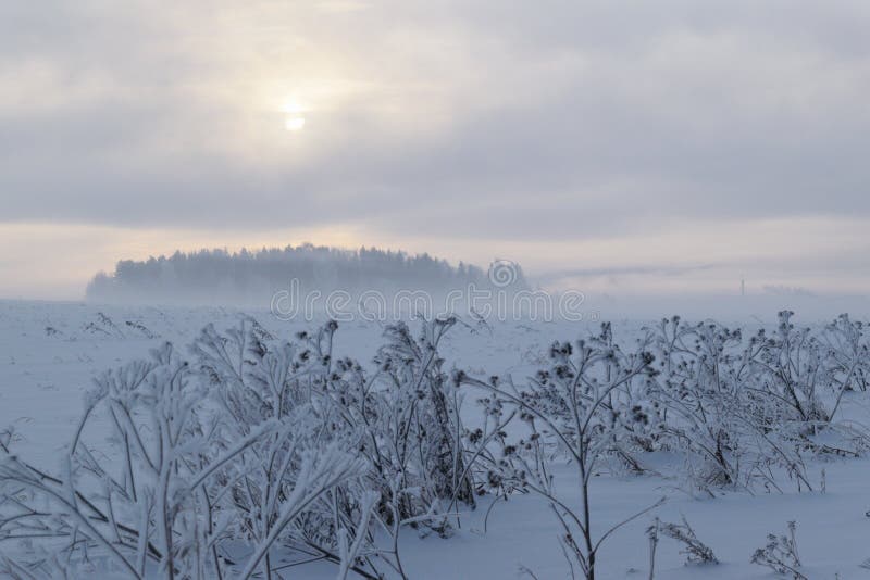 Winter Landscape on a Cold Misty Morning Stock Photo - Image of nature ...