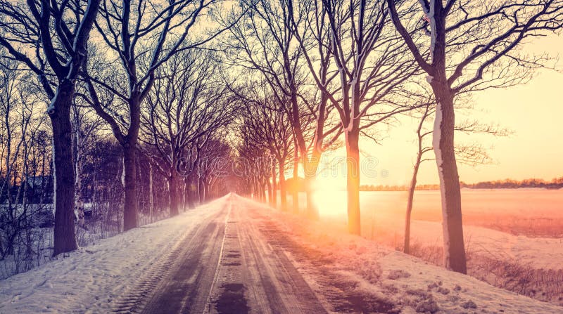 Winter Landscape with Color Look Stock Image - Image of blue, hoar ...