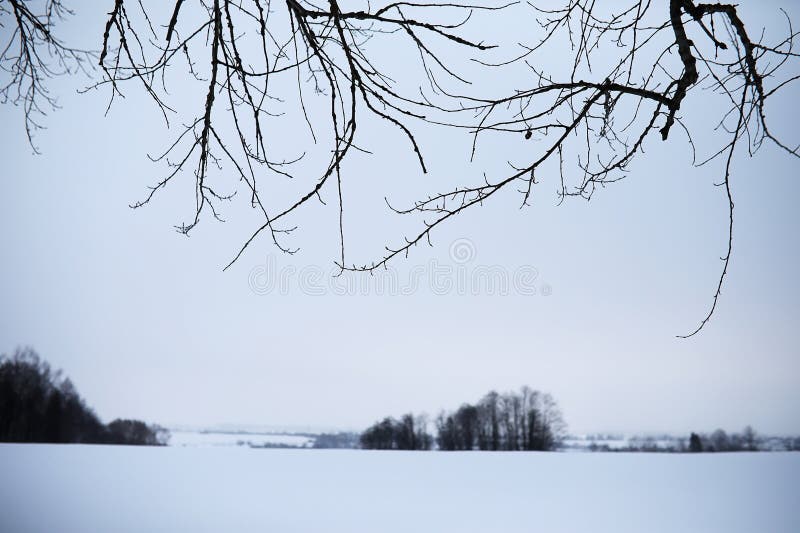 Winter Landscape of Country Fields and Roads Stock Image - Image of ...