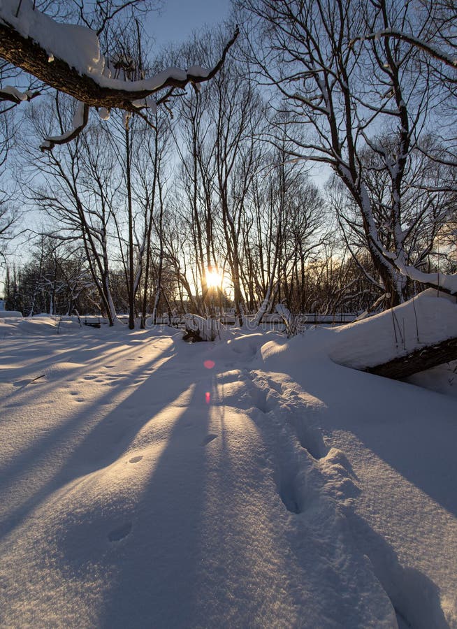 Winter Landscape in the Country on a Sunny Day Stock Image - Image of ...