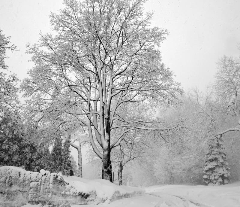 Winter Landscape Eastern Township Quebec Stock Image - Image of bright ...