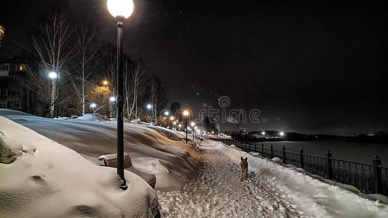 Winter Landscape with an Embankment with Light Latice in Winter Night ...