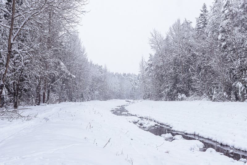 Winter Landscape with Empty Snowy Road, Frozen River and Forests in ...