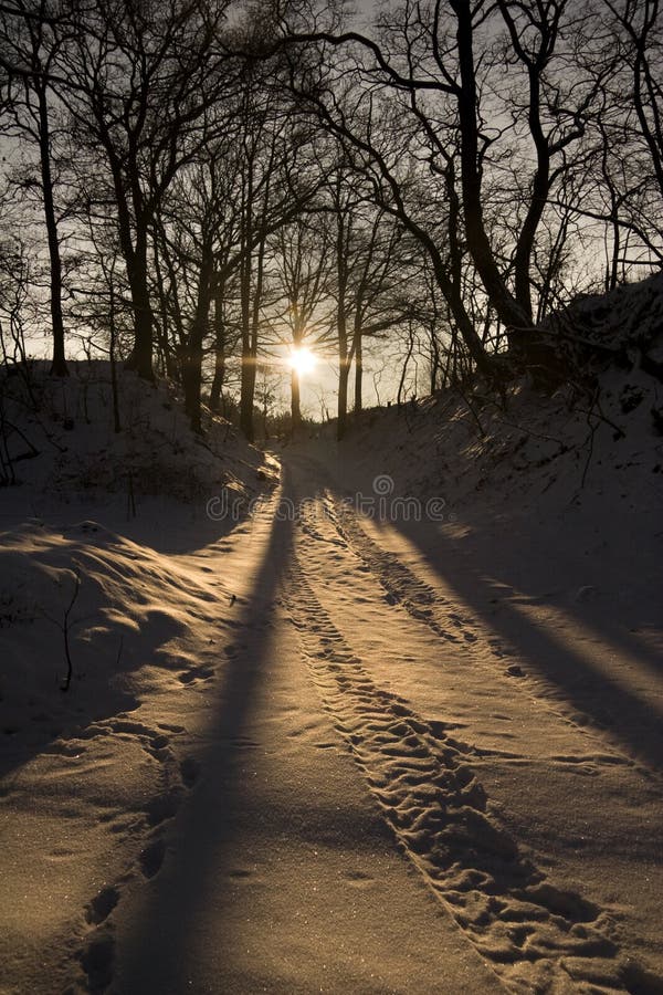 Back Light Winter Landscape Stock Image - Image of iciness, frost: 11532695
