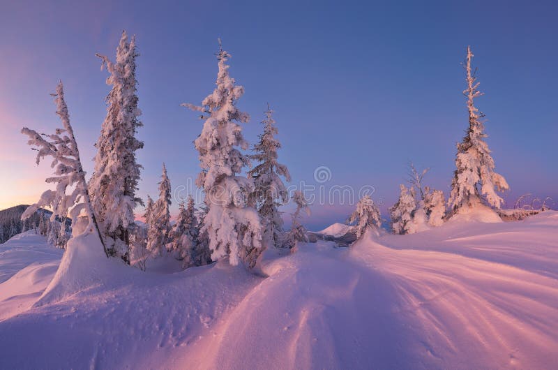 Winter Landscape in the Evening Stock Image - Image of hill, park: 46319381
