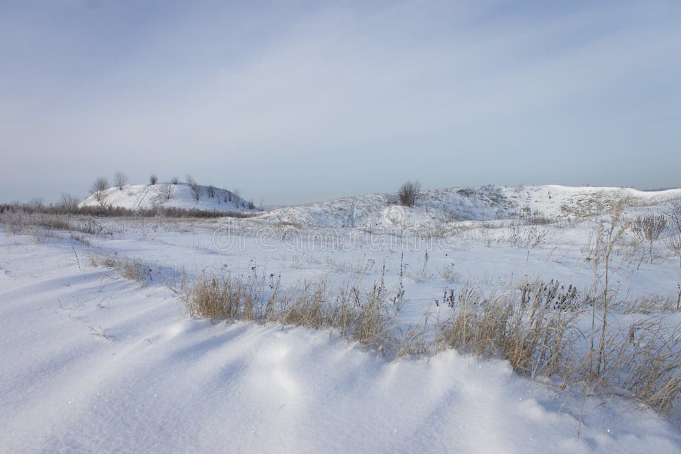 Winter Landscape. the Field Covered with Snow. Stock Photo - Image of ...