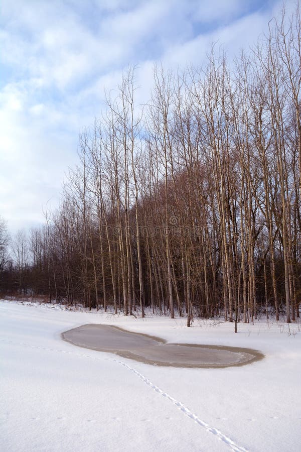 Winter Landscape with Field and Forest and Water Puddle Stock Photo ...