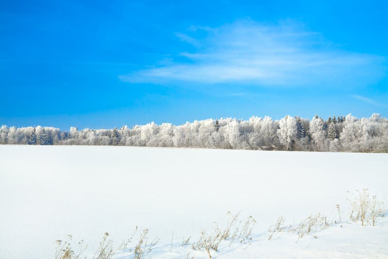 Winter Landscape with a Field Snow and the Blue Sky Stock Photo - Image ...