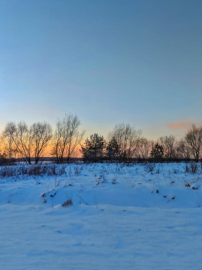 Winter Landscape with Field and Trees during the Sunset Stock Image ...