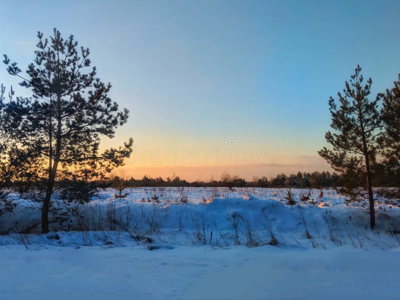 Winter Landscape with Field and Trees during the Sunset Stock Photo ...