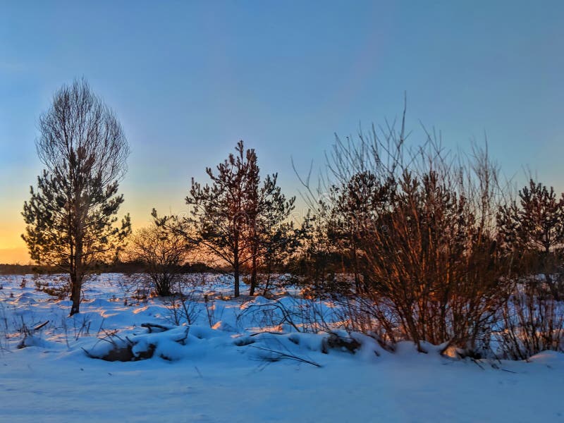Winter Landscape with Field and Trees during the Sunset Stock Photo ...
