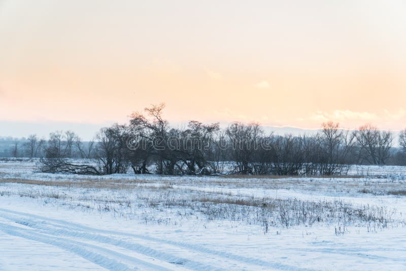 Winter Landscape of Fields and Bushes in the Setting Sun Stock Image ...