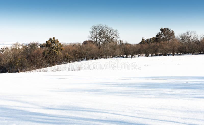 Winter Landscape with Fields in the Snow Stock Image - Image of scenery ...