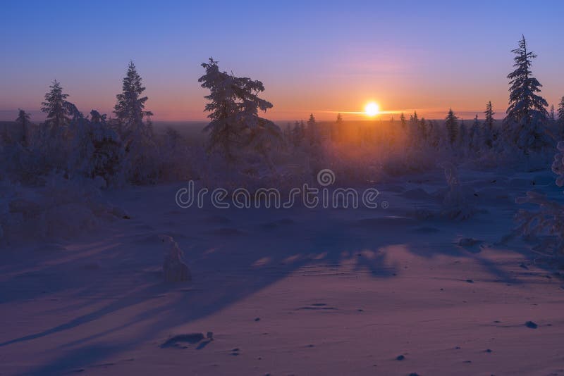 Winter Landscape with Forest, Cloudy Sky and Sun. America, Country ...
