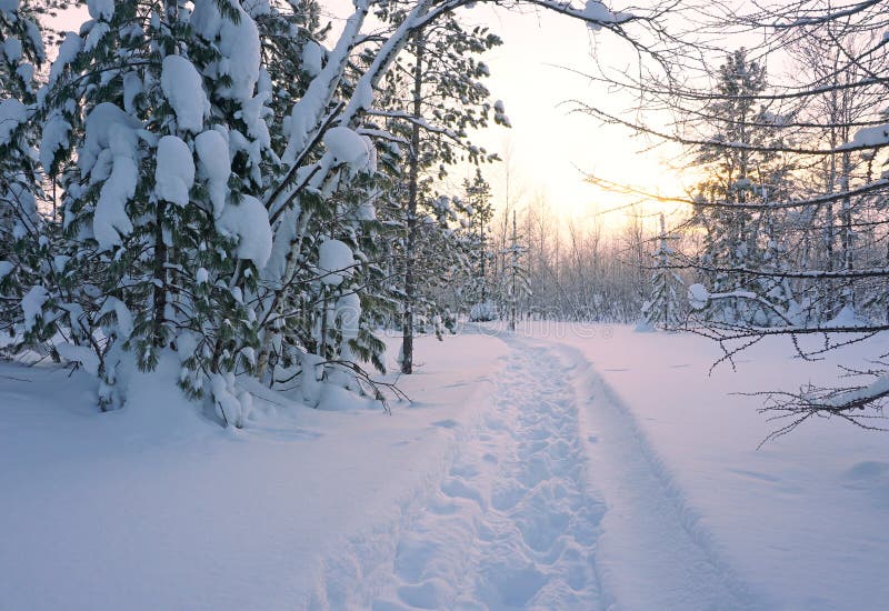 Winter landscape stock photo. Image of time, snow, fabulous - 50221460