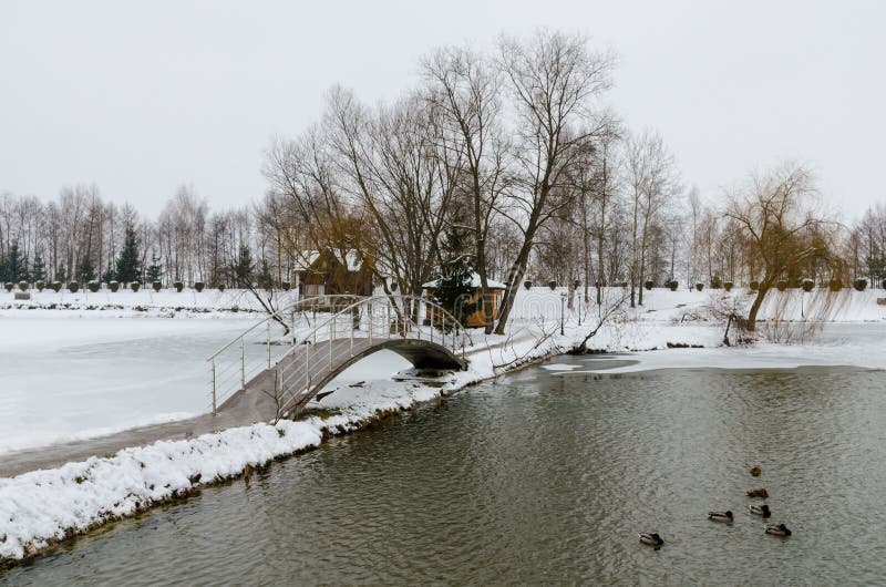The Winter Landscape with Forest, Lake in the Bad Weather Condition ...