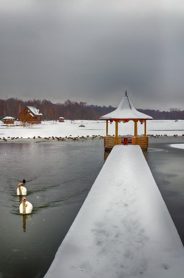 The Winter Landscape with Forest, Lake in the Bad Weather Condition ...