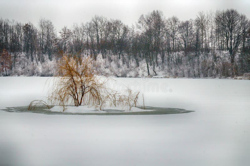 The Winter Landscape with Forest, Lake in the Bad Weather Condition ...