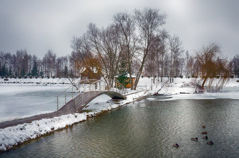 The Winter Landscape with Forest, Lake in the Bad Weather Condition ...