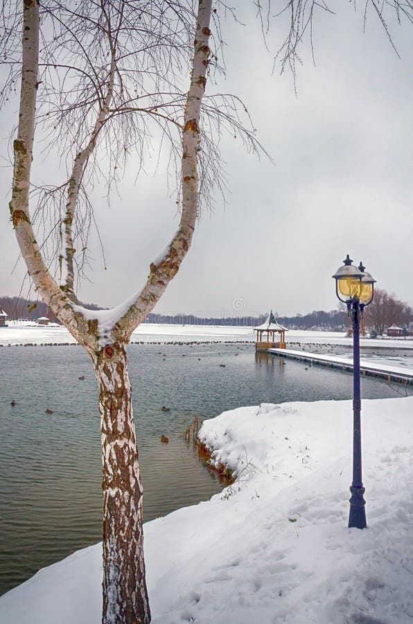 The Winter Landscape with Forest, Lake in the Bad Weather Condition ...