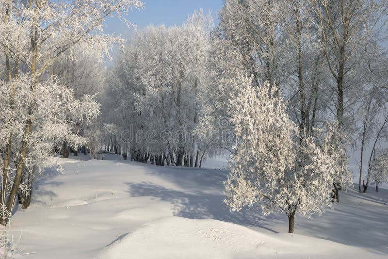 Winter landscape stock image. Image of cold, scenics - 61935615