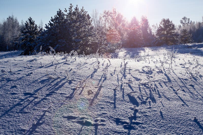 Blue shadows on the snow stock photo. Image of winter - 136724846