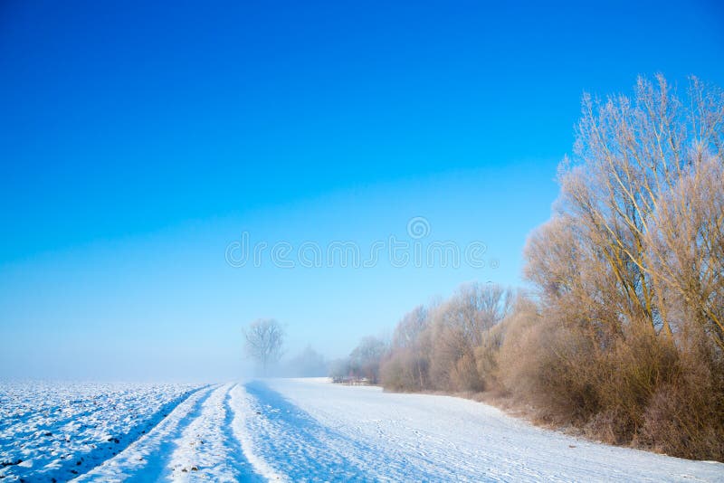 Winter landscape stock image. Image of fresh, landscape - 78394087