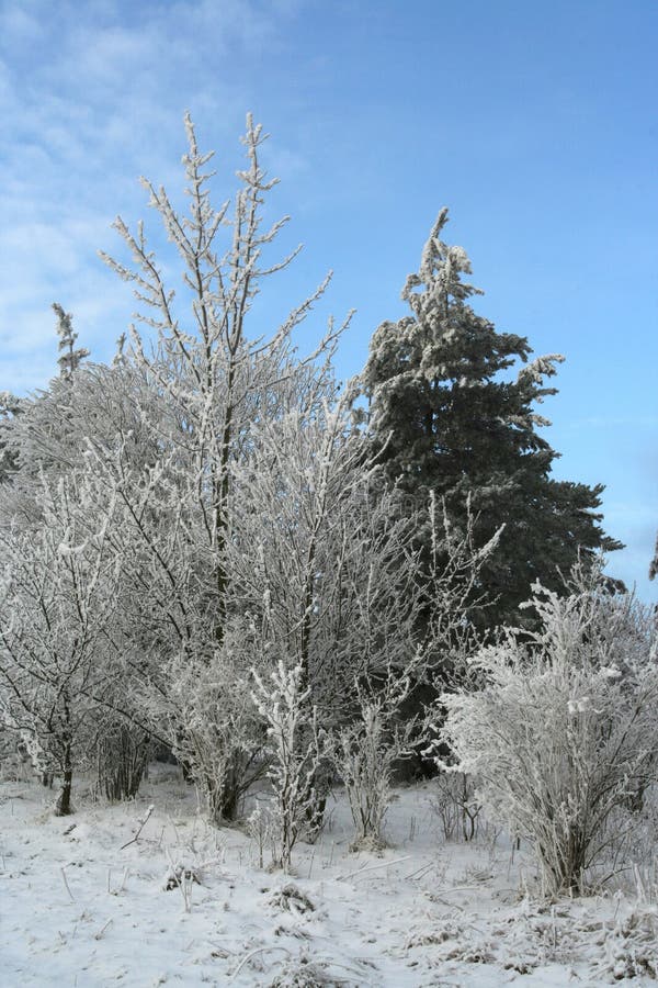 Winter landscape stock image. Image of frozen, scene - 46825699