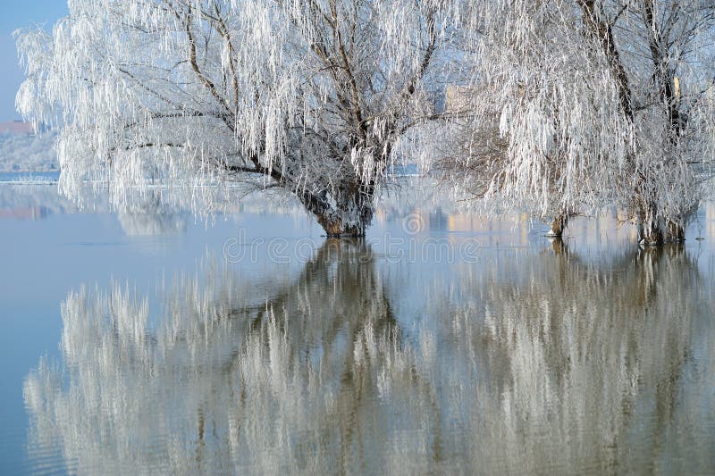 Winter landscape stock photo. Image of climate, countryside - 49312994