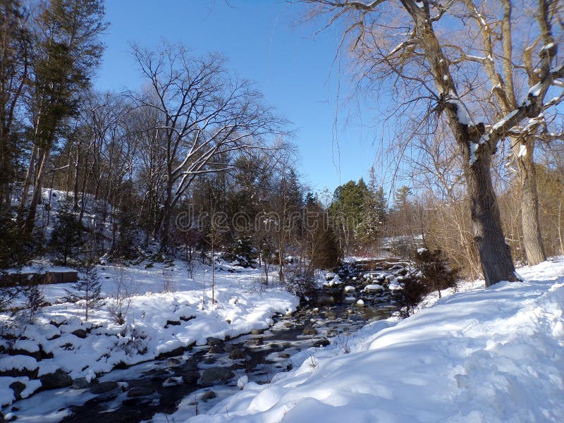 Winter Landscape stock photo. Image of nature, tree - 268359834