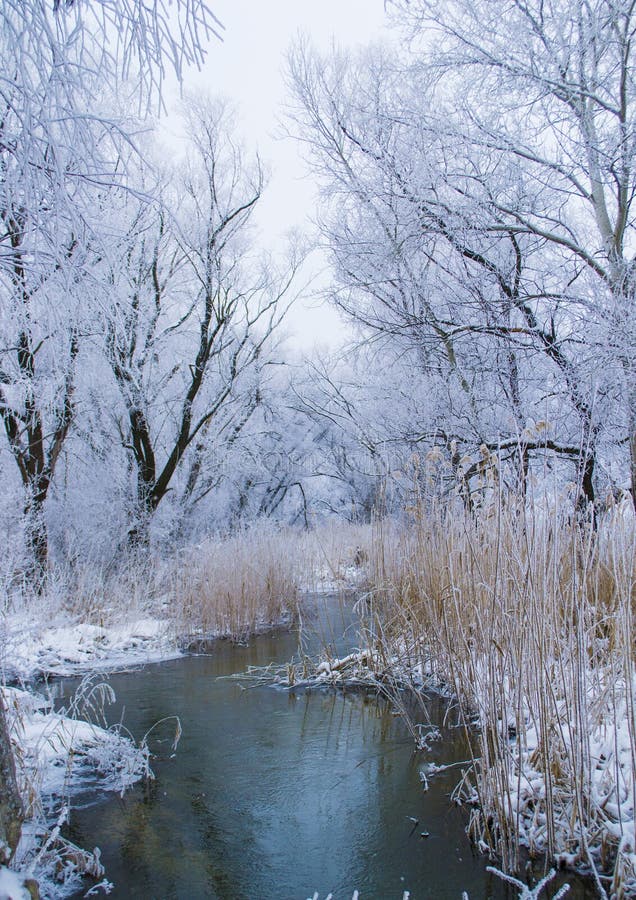 Winter Landscape with a Frozen Stream Stock Photo - Image of blue, cold ...