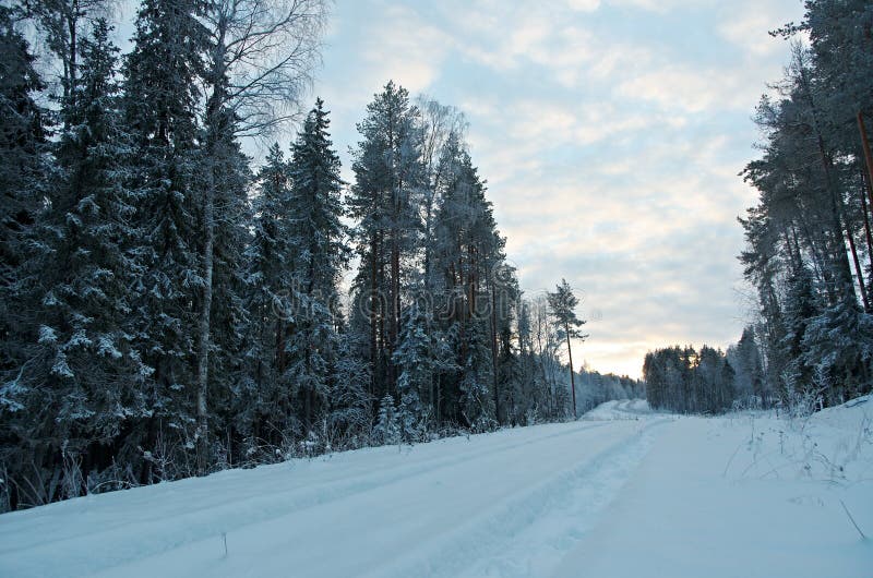 Winter landscape. stock image. Image of cold, taiga, tree - 65117877