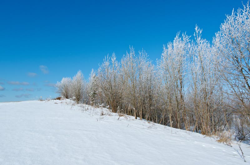 Winter Landscape. Frozen Trees Stock Photo - Image of tree, trees: 53231048