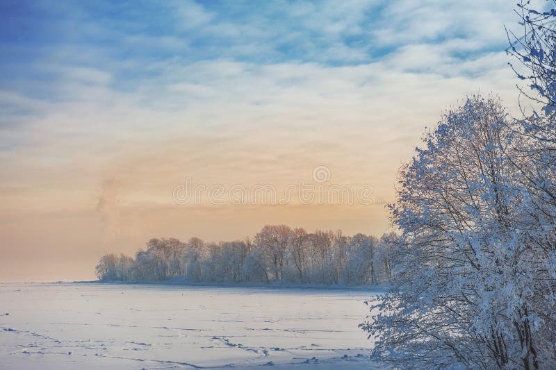Winter Landscape with Frozen Trees and Sky Stock Image - Image of ...