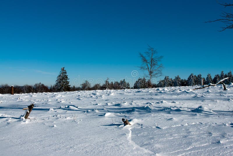 Winter landscape stock photo. Image of frost, blue, snowy - 77781562
