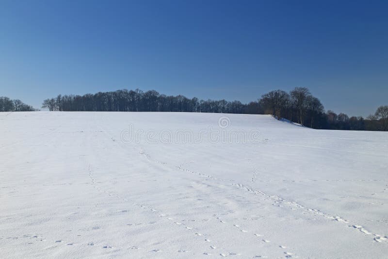 Winter Landscape in Germany Stock Image - Image of winter, wintertime ...
