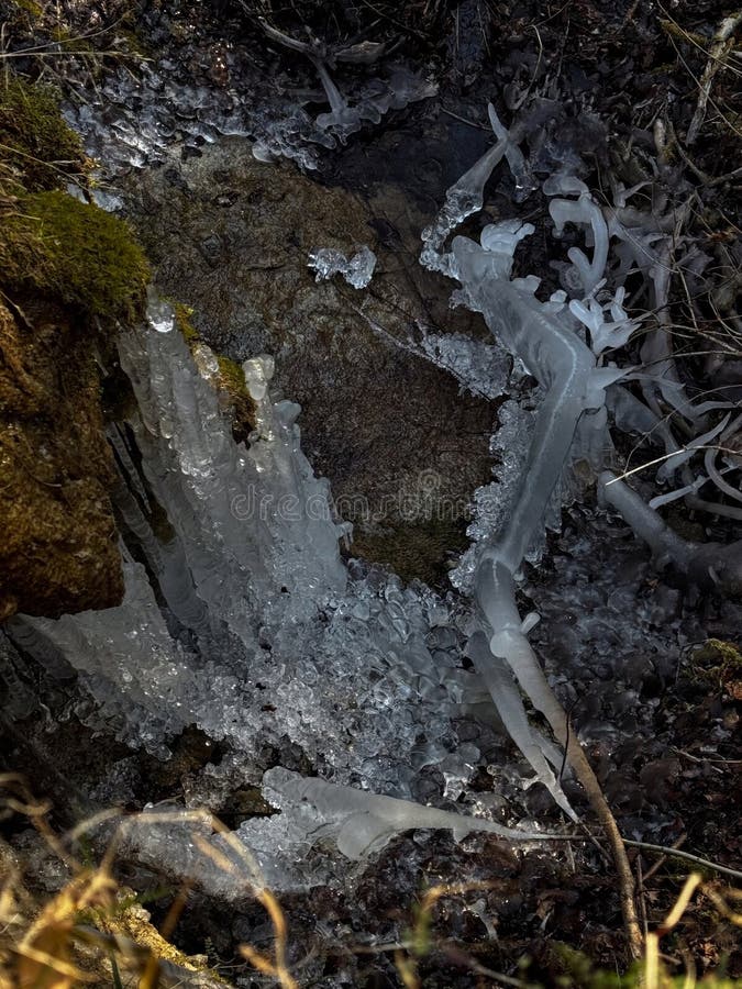 Winter Landscape: Ice on Rocks and Moss Stock Photo - Image of stone ...