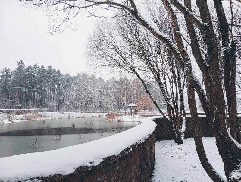 Winter Landscape: Idyllic Scene of the Pond Stock Image - Image of ...