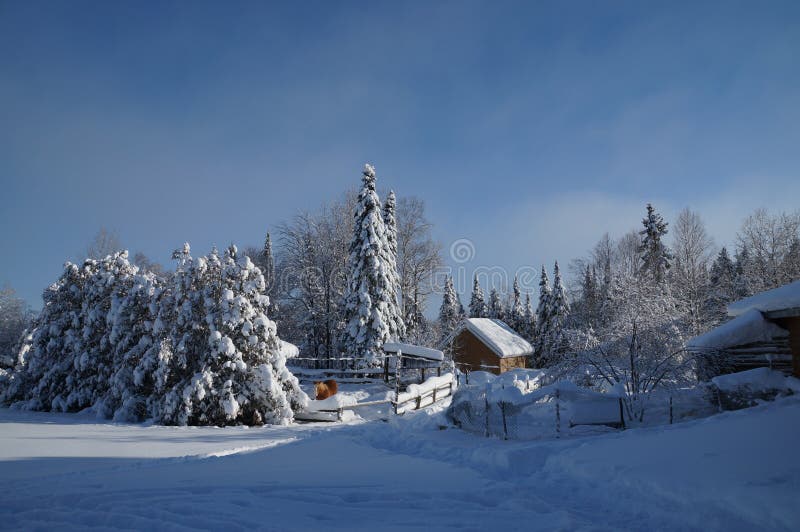 Winter Landscape stock photo. Image of idyllic, blue - 33802440