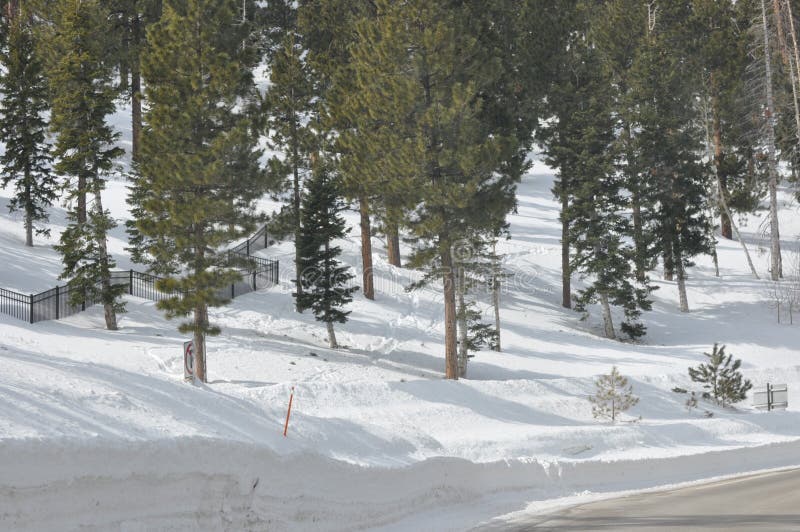 Winter landscape stock image. Image of snowy, chilling - 308638671