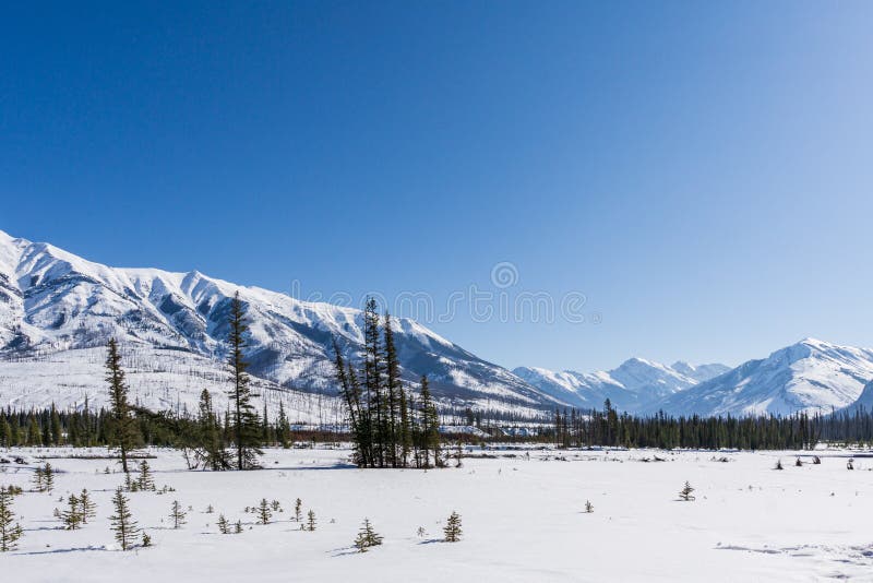 Winter Landscape Large Open Space in Snow Mountain Range Alberta Canada ...