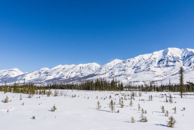Winter Landscape Large Open Space in Snow Mountain Range Alberta Canada ...
