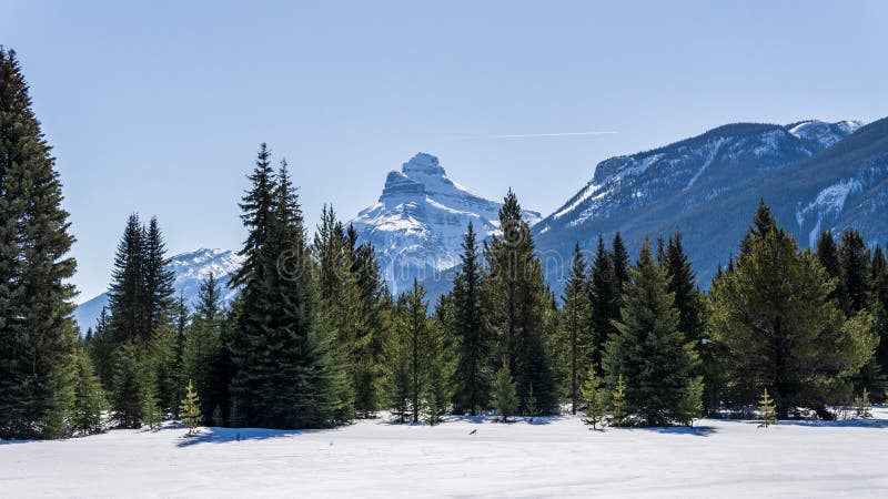 Winter Landscape Large Open Space in Snow Mountain Range Alberta Canada ...