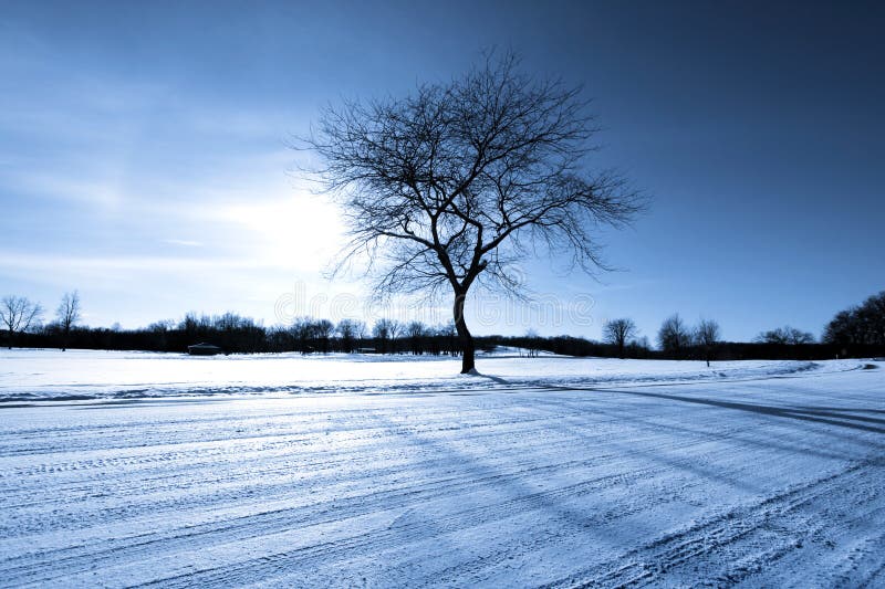Winter landscape stock image. Image of field, lone, seasonal - 36302755