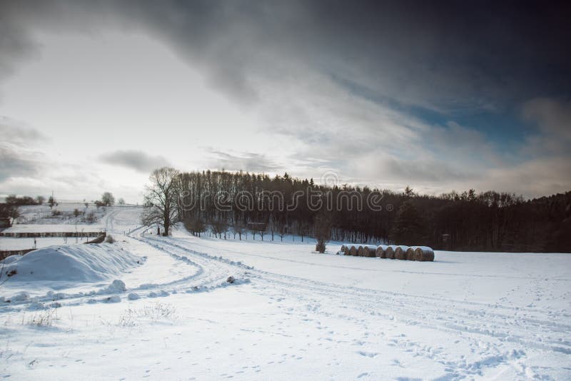 Winter Landscape with Lots of Snow Stock Image - Image of light ...