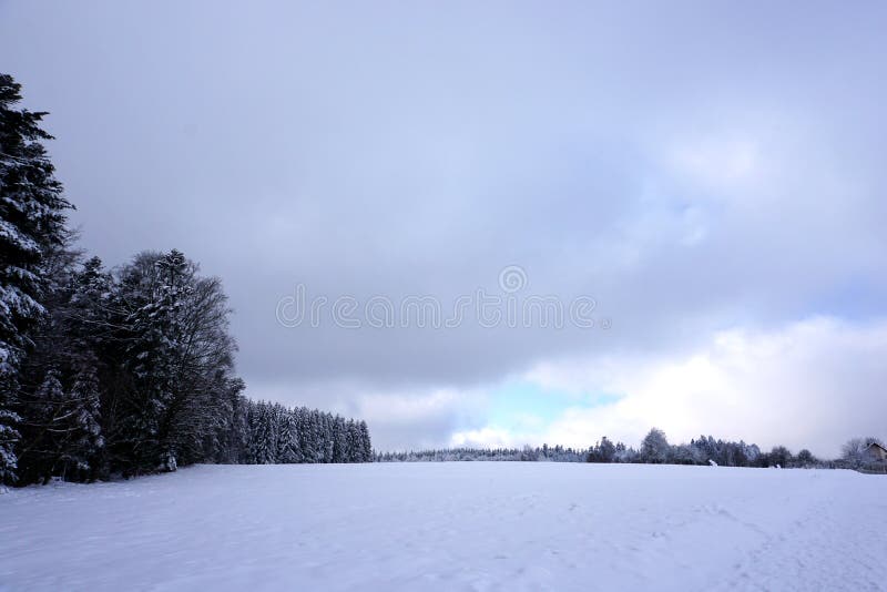 Winter Landscape with Lots of Snow and Snow Covered Trees Stock Photo ...