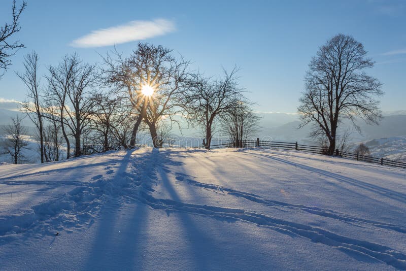 Winter Landscape with Lots of Snow and Trees Stock Photo - Image of ...